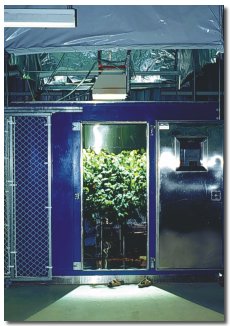 Canada Home to State of the Art Controlled Environment Systems Research ...