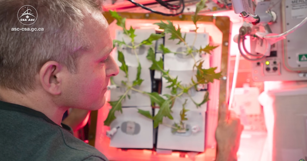 A look at the Canadian Space Agency's Deep Space Food Challenge - SpaceQ