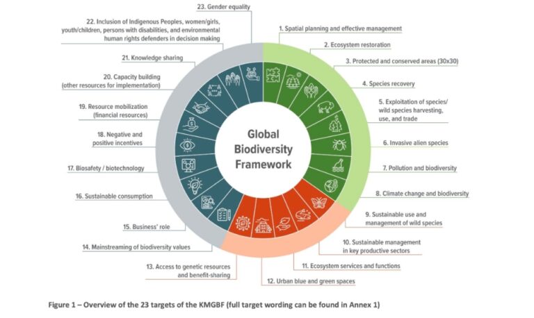 Satellite Data an Integral Part of 2030 Nature Strategy - SpaceQ